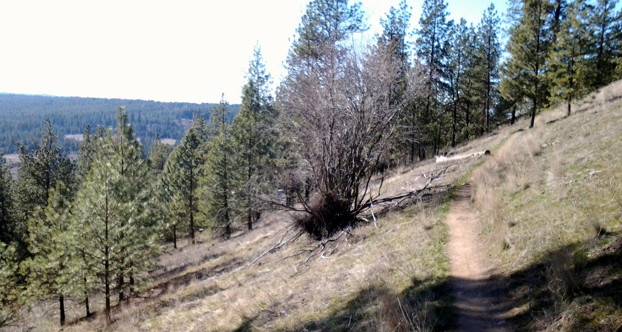 100 Days Outdoors: Montana Summer, An Adventurer’s Dreamland - Backpacker