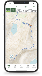 Pet Python Strangles Owner