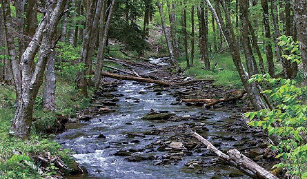 Hike It, Save It: Seneca Creek, West Virginia