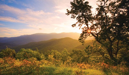 The Peak: Mt. Mitchell