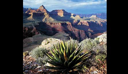 Rip & Go: Grandview Loop - Grand Canyon, South Rim