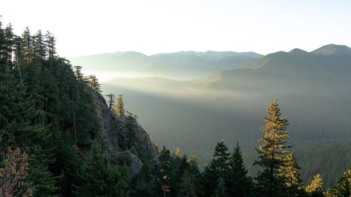 Enchanted Valley, Olympic National Park