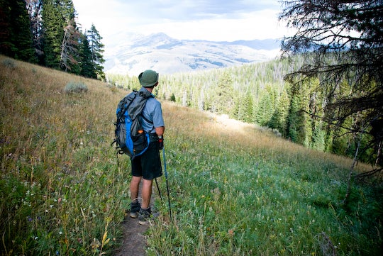 Yellowstone National Park: Specimen Ridge