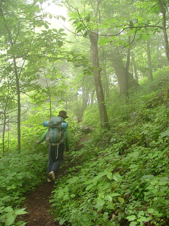 Appalachian Trail: VA 56 to Three Ridges Overlook