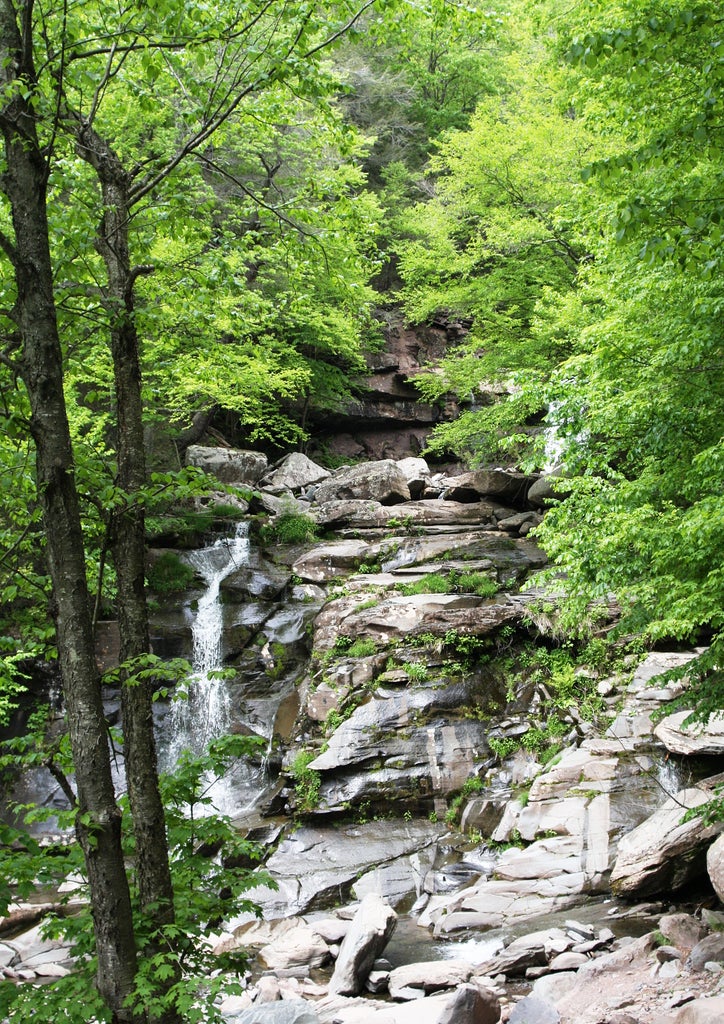 Catskill State Park, NY: Kaaterskill Falls