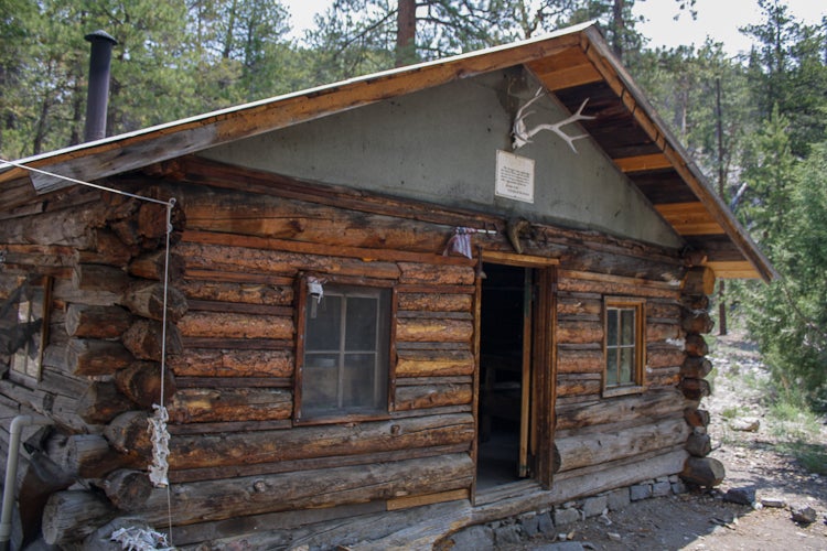 Las Vegas, NV: Hidden Forest Cabin