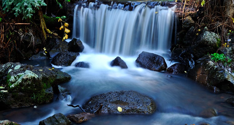Lanphier Canyon-Blue River Loop, Blue Range Primitive Area, Apache ...