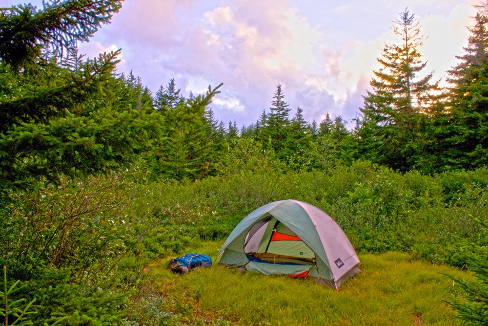 West Virginia: Backpacking the Dolly Sods