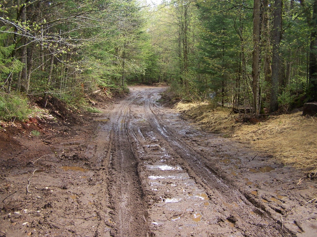 Keep Off Muddy Trails, National Forest Pleads