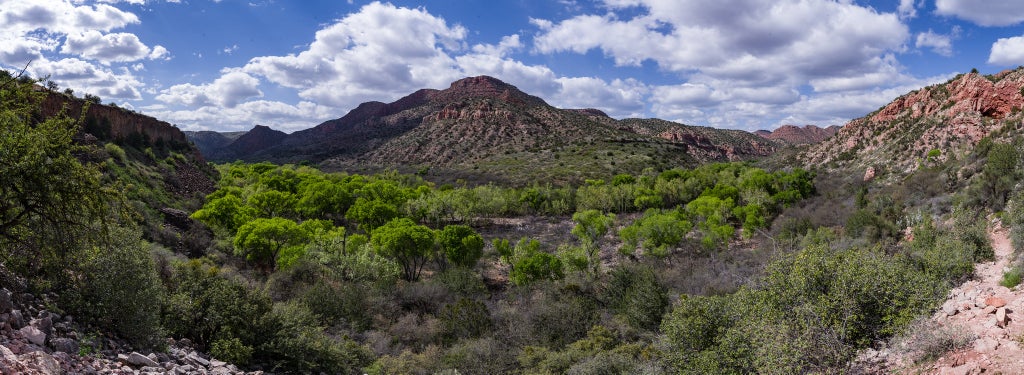 The Best Day Hikes in America: Sycamore Canyon to Parson Springs ...