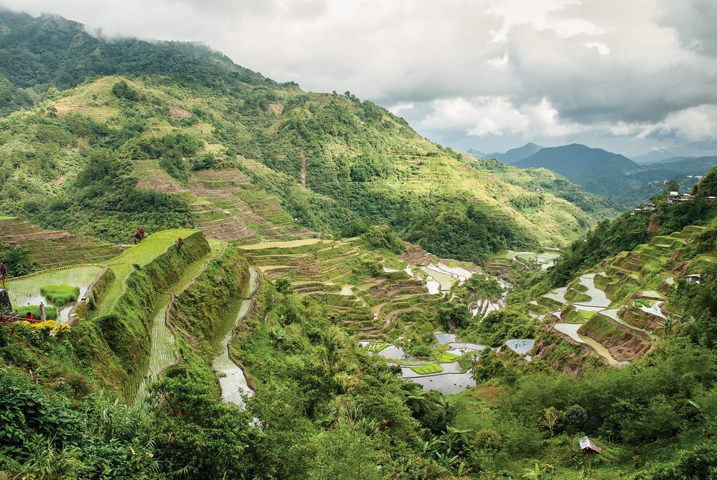 Trek Through the Ifugao Rice Terraces in the Philippines