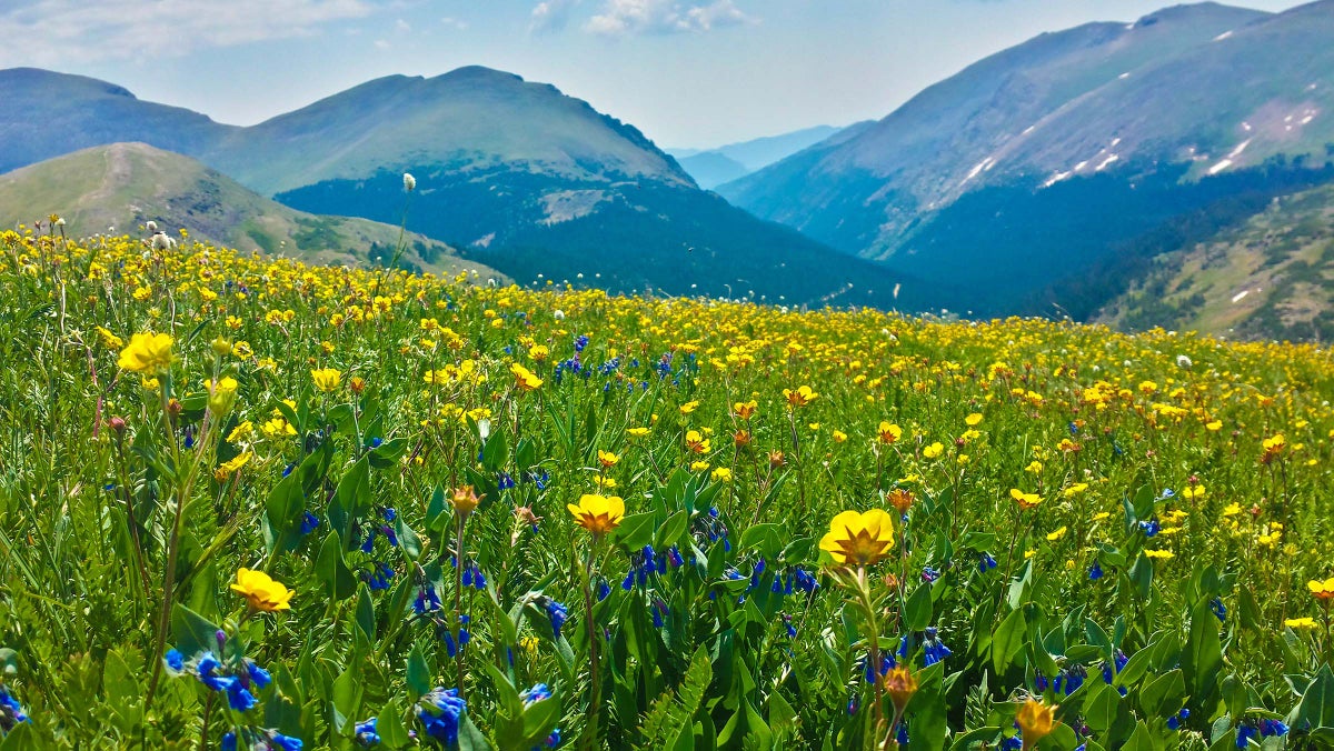 Catch Spring Wildflowers on These 10 Gorgeous Hikes - Backpacker