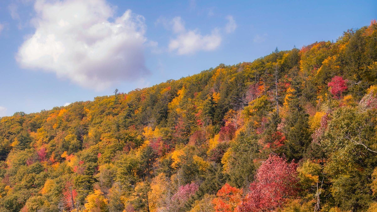 See the Country's Finest Fall Colors on this Catskills Overnight ...