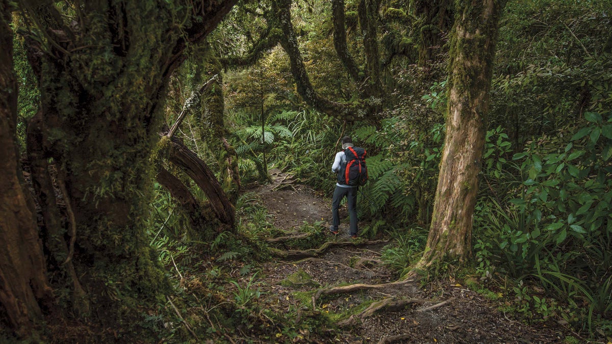 The Pain and the Ecstasy of Taking a Long Hike Alone - Backpacker
