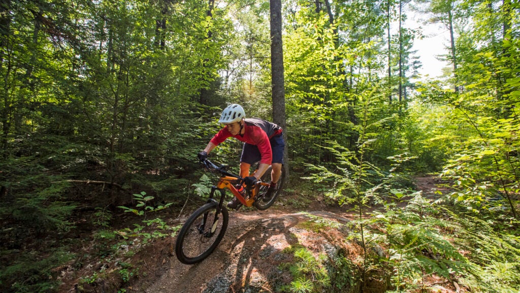 Impaled by a Tree Branch - Backpacker