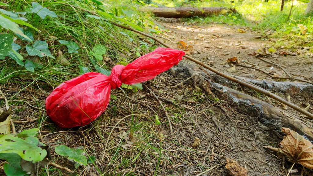 Leaving Dog Poop on the Trail Is Bad. Leaving Dog Poop Bags on the ...