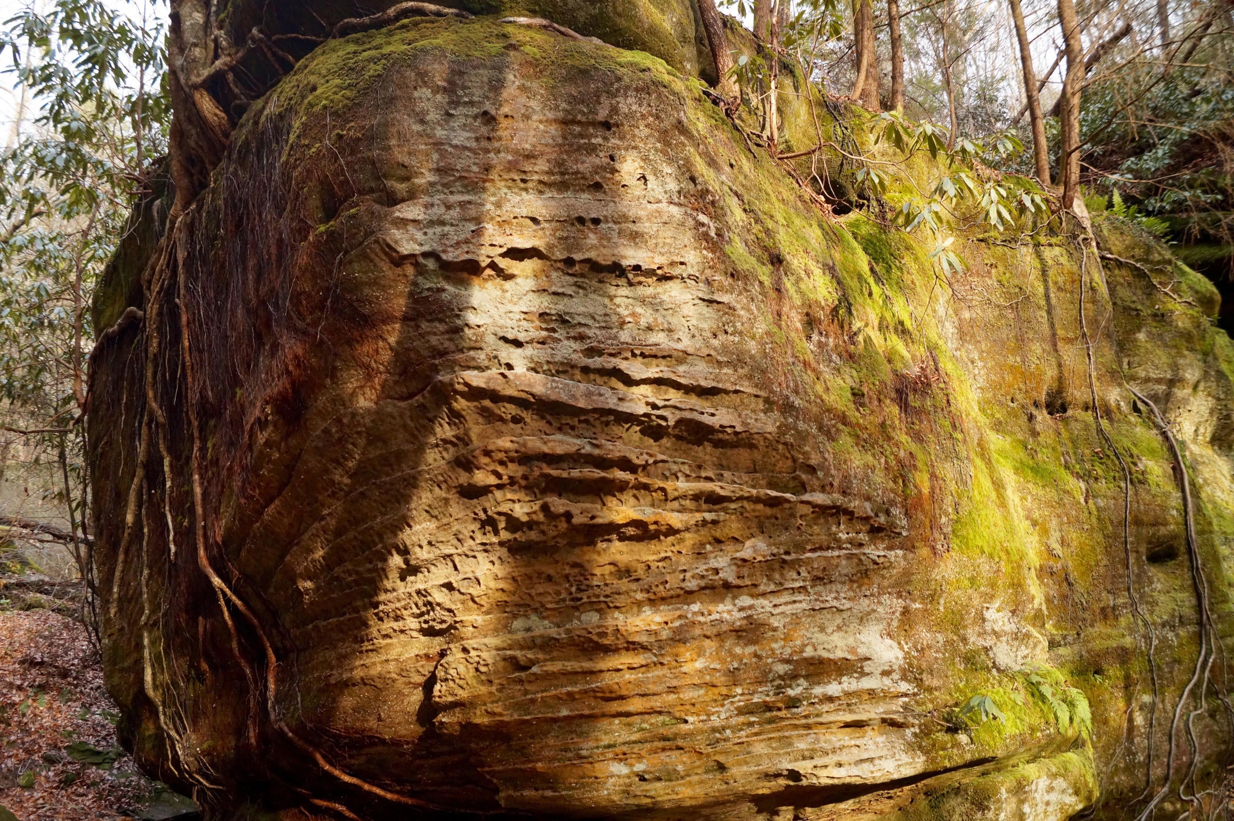 Two Hikers Called for Rescue—Then Hiked in the Opposite Direction
