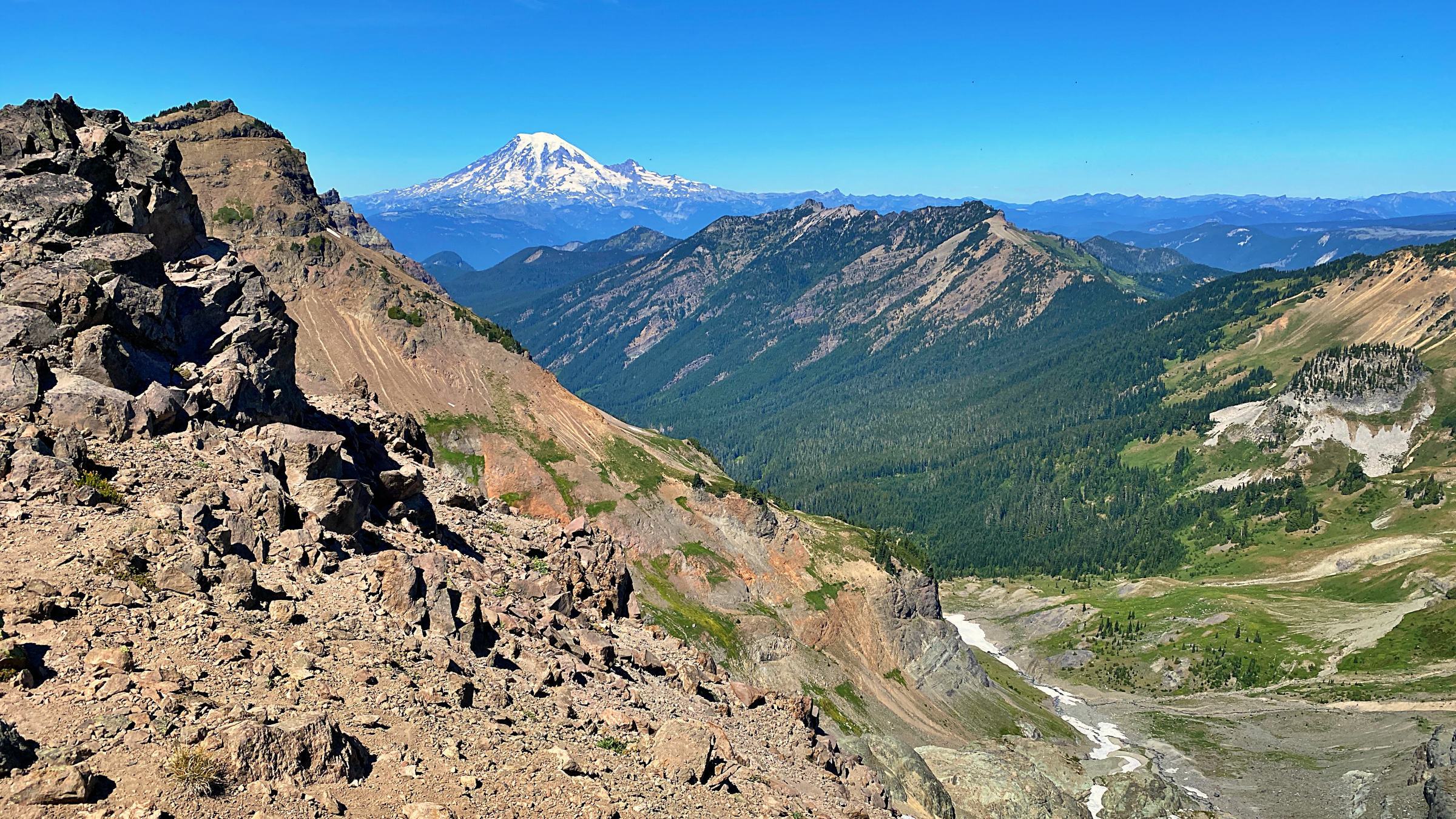 When an Injured Hiker’s Dog Got Left on the PCT, This Rescue Team ...