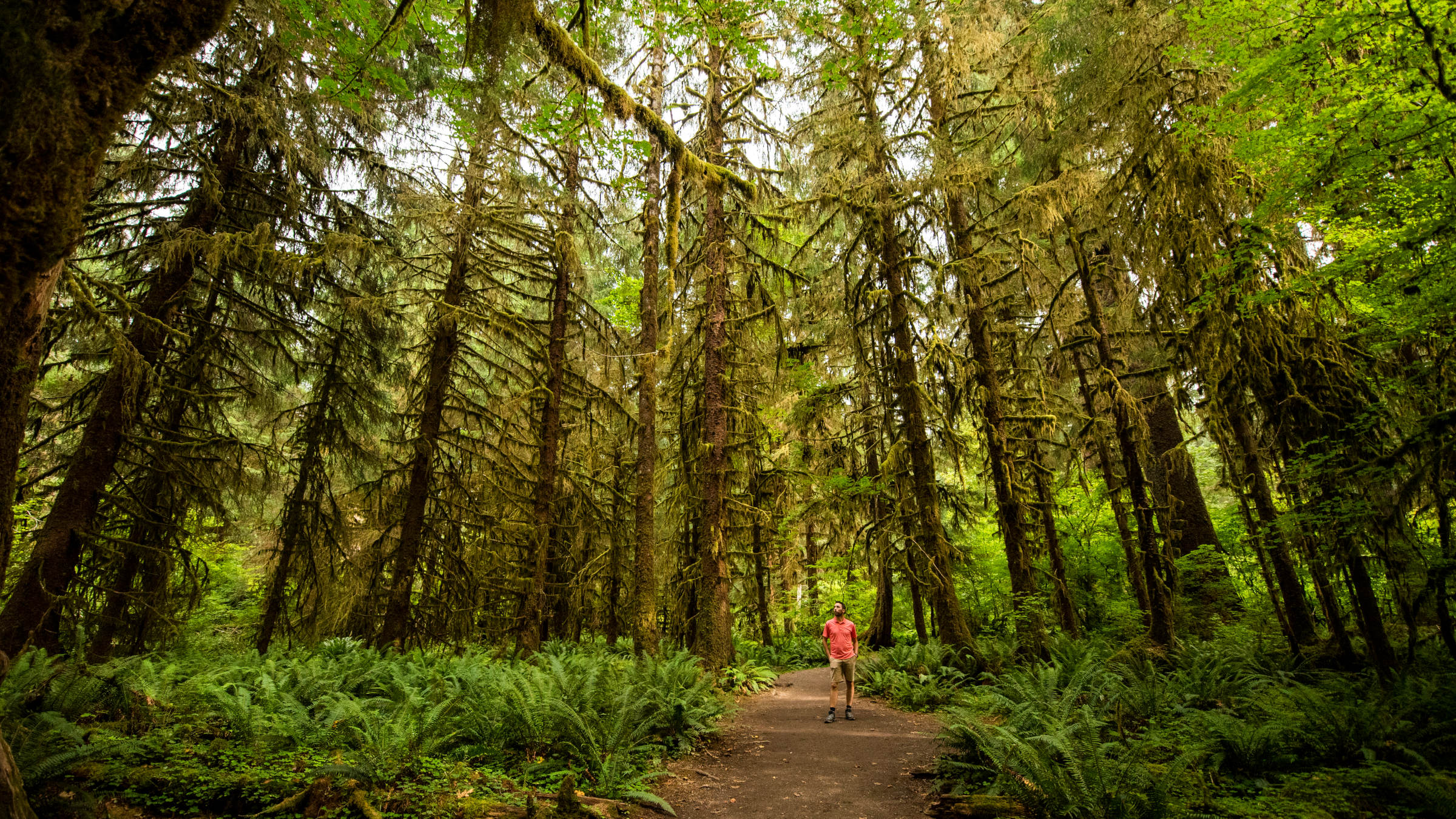 The 10 Biggest Hiking News Stories of 2025 - Backpacker