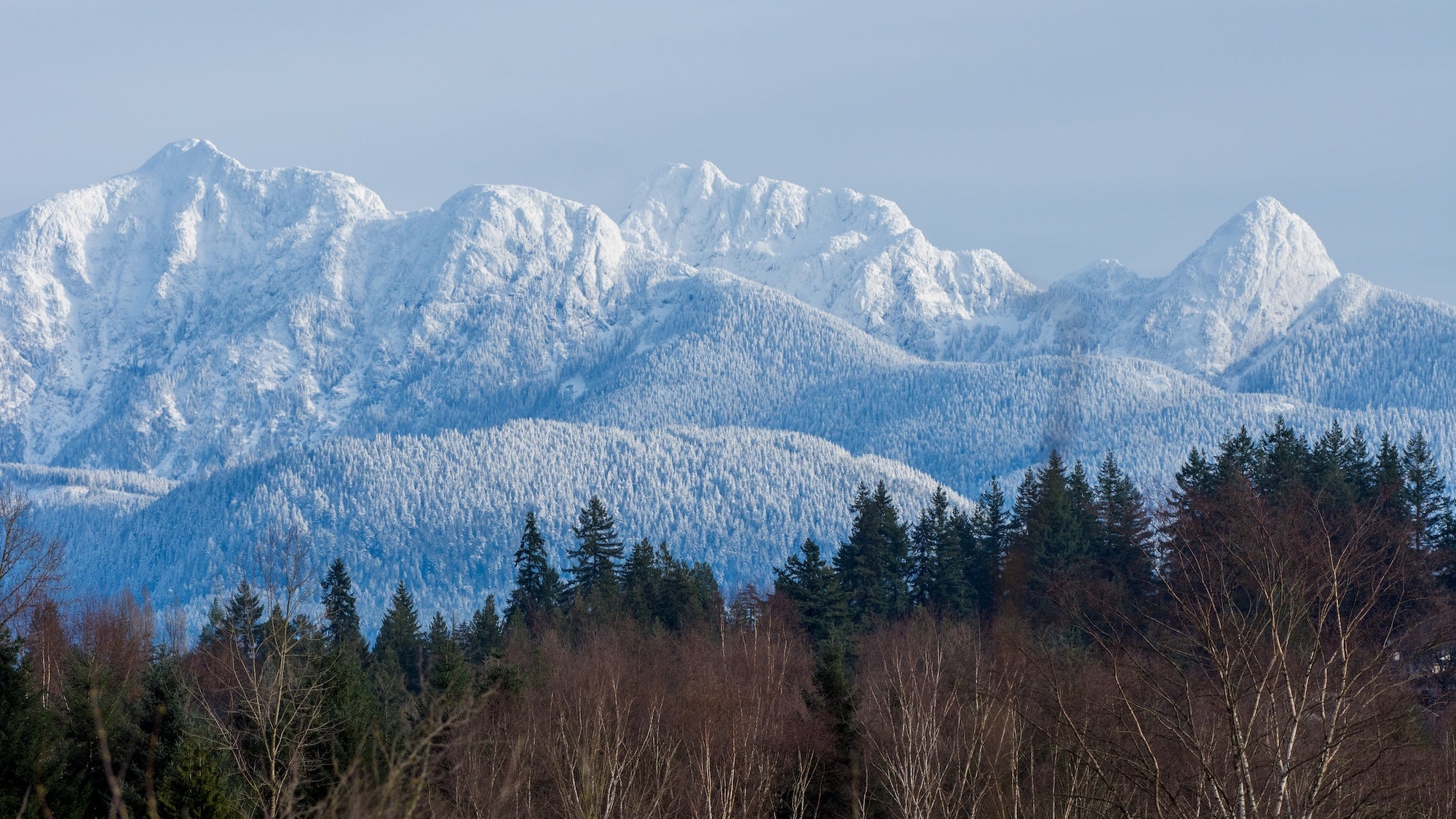 Hikers Survive Blizzard By Spending Three Nights in Shelter - Backpacker
