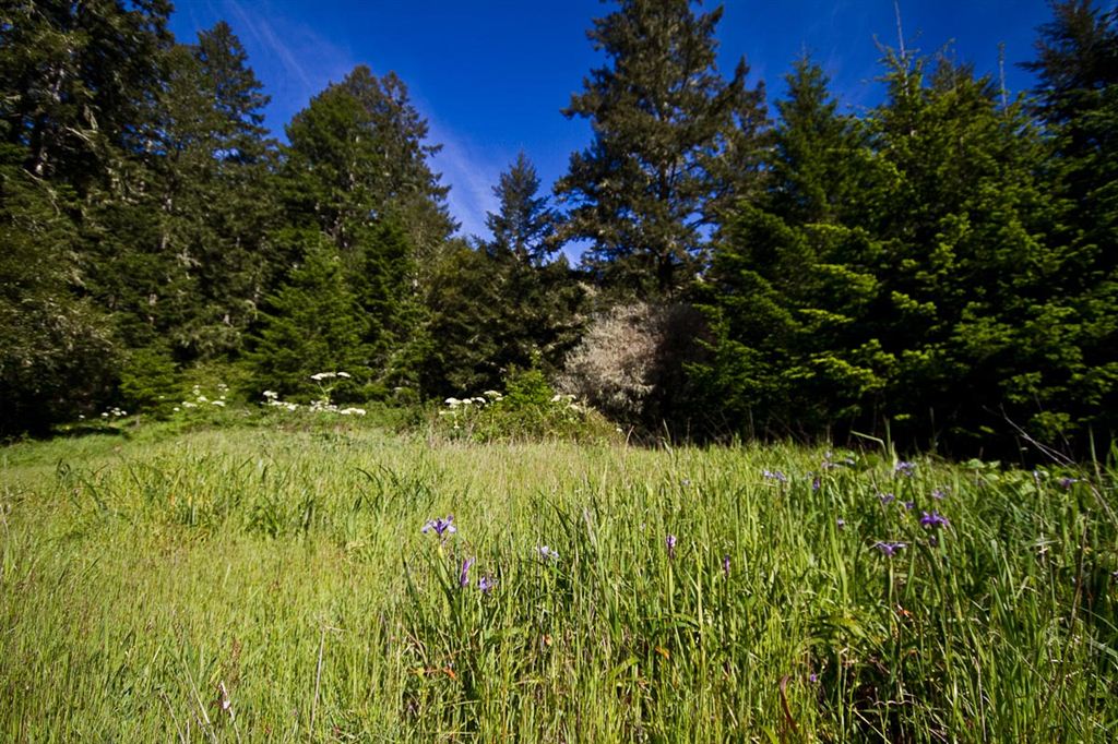 Rocky Mountain National Park: Lumpy Ridge Loop