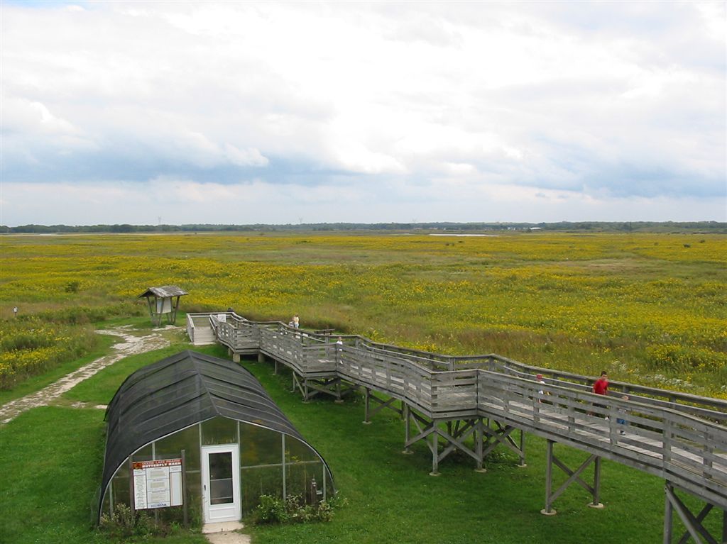 Chicago, IL: Goose Lake Prairie State Natural Area