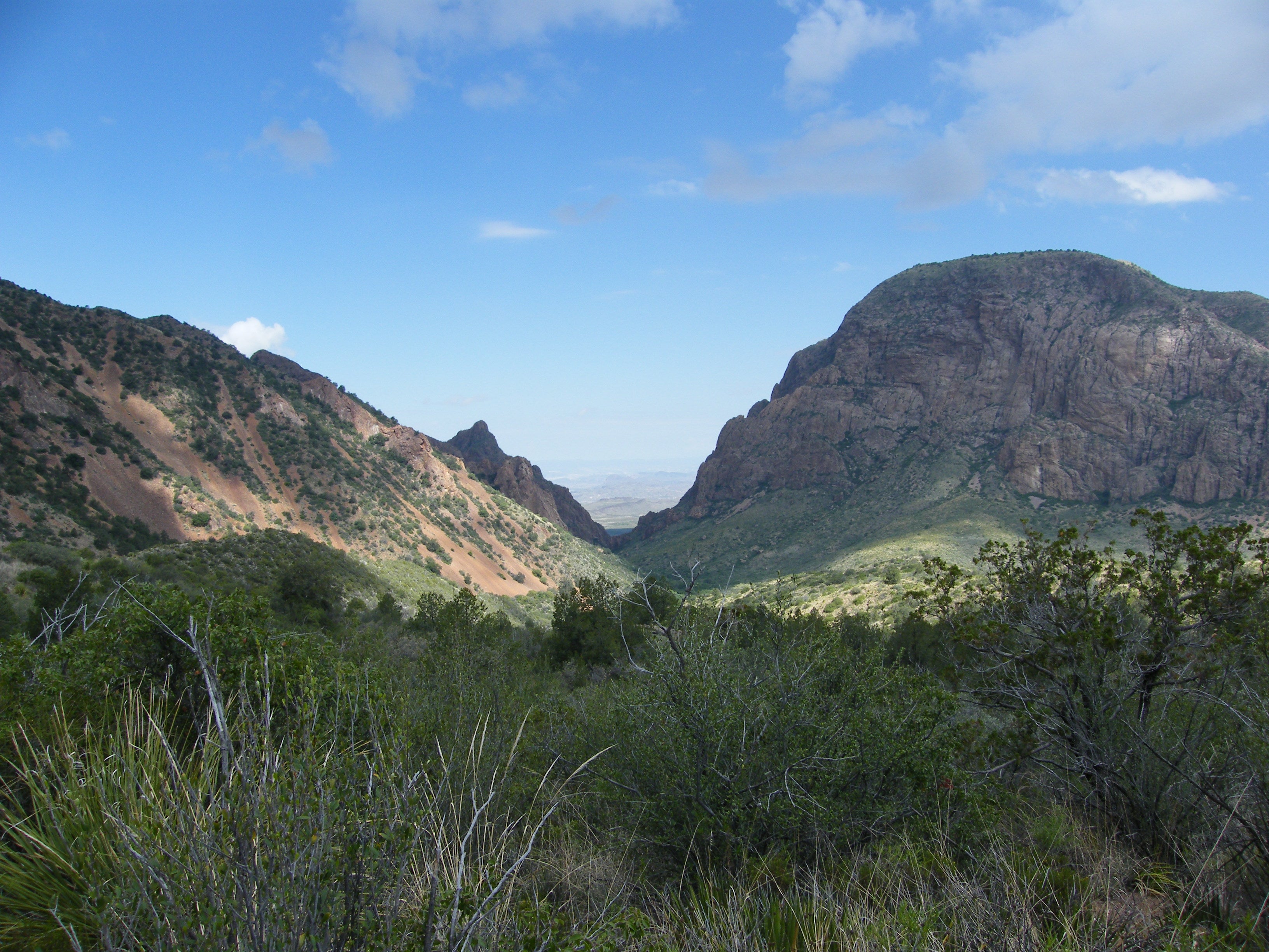 Big Bend National Park: Chisos Basin Trails