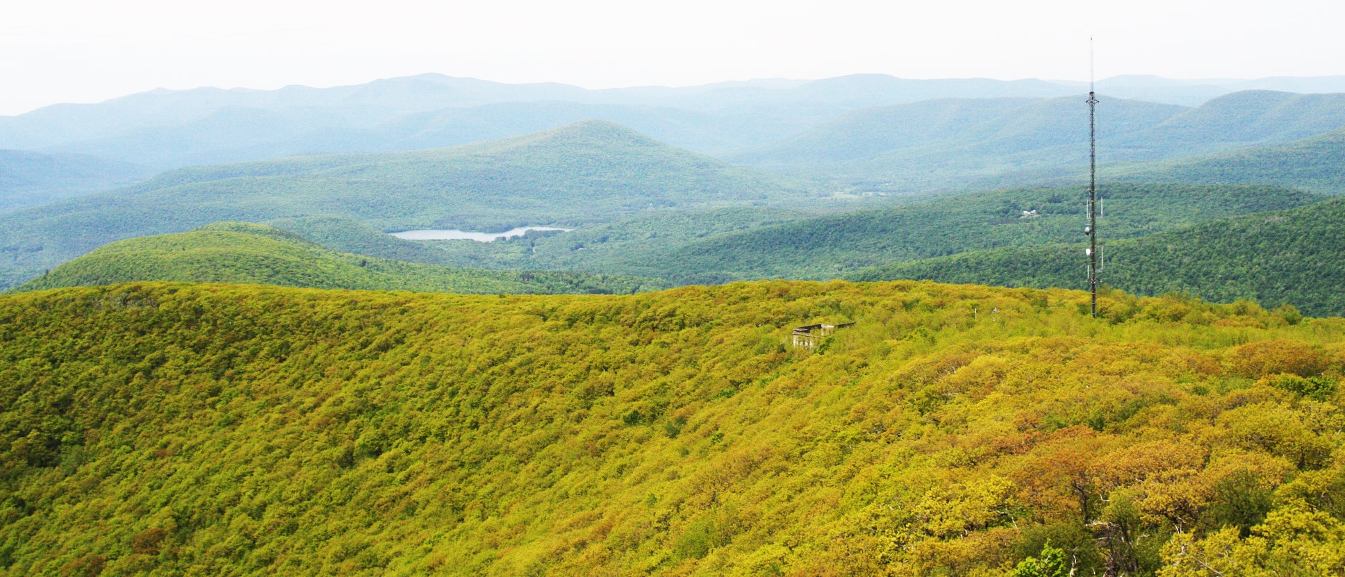 Catskill State Park, NY: Overlook Mountain Trail
