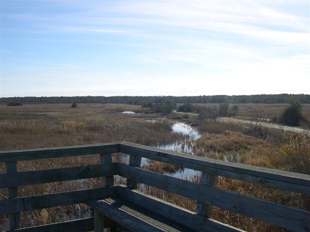 Virginia Beach, VA: Back Bay National Wildlife Refuge