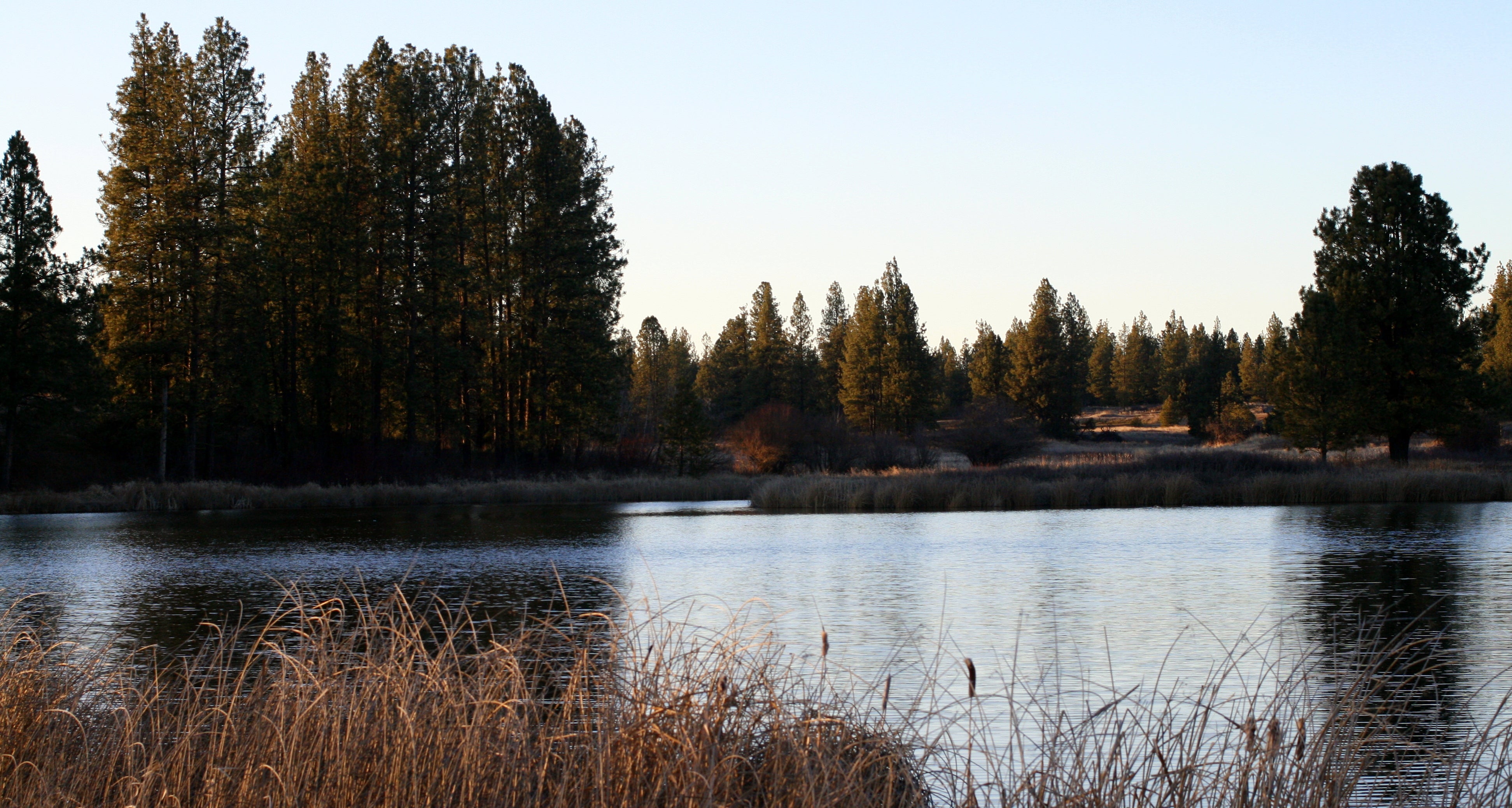 Spokane, WA: Pine Lake Loop