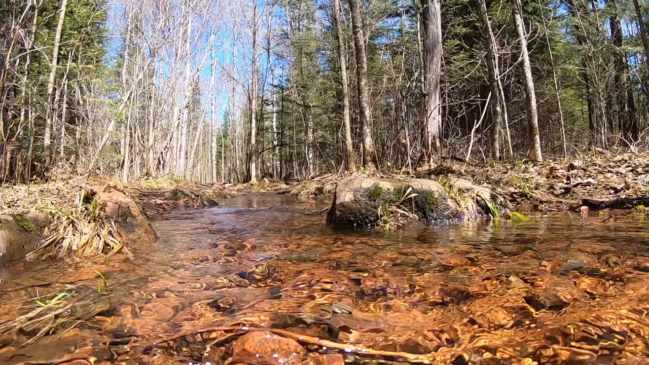 Eagle Point Minnesota | Backpacker