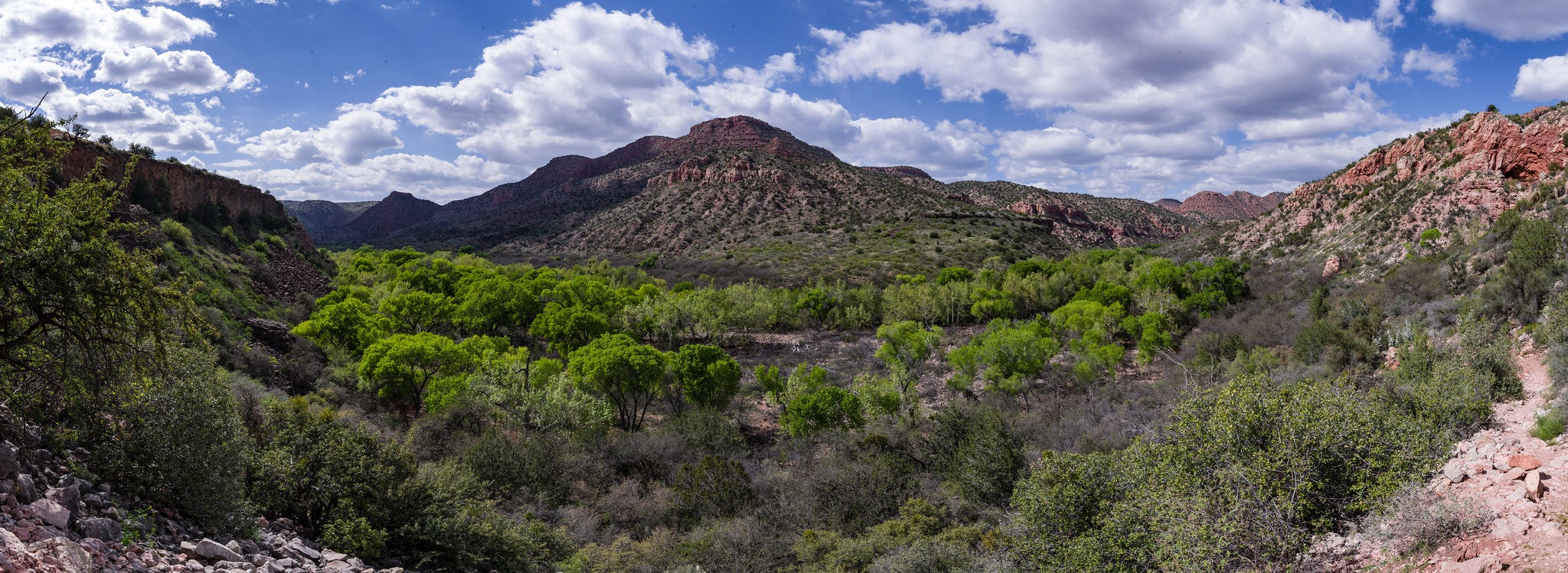 The Best Day Hikes in America: Sycamore Canyon to Parson Springs ...
