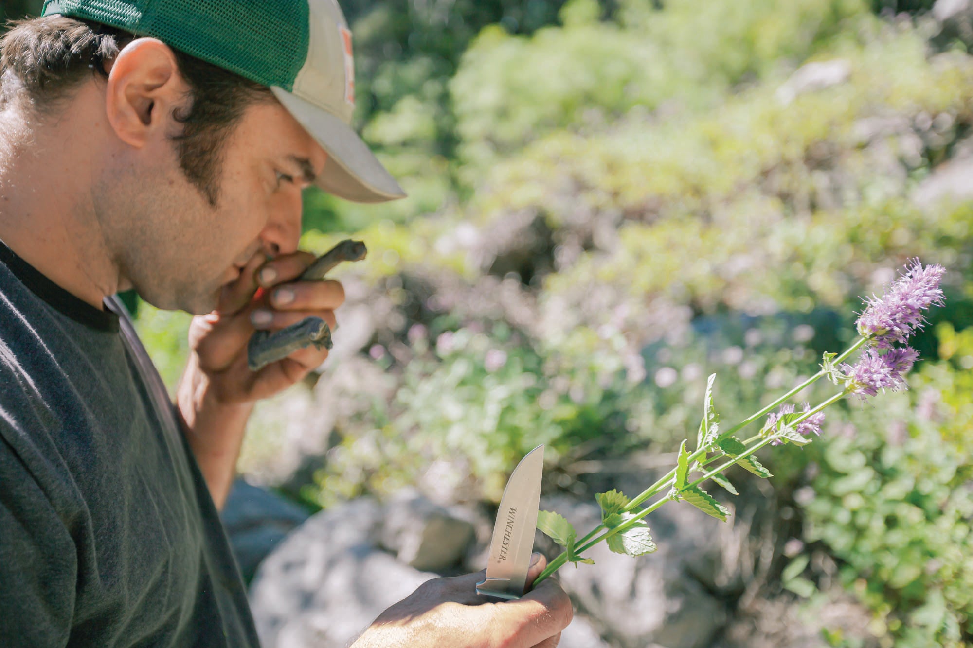 The Beginner's Guide to Foraging