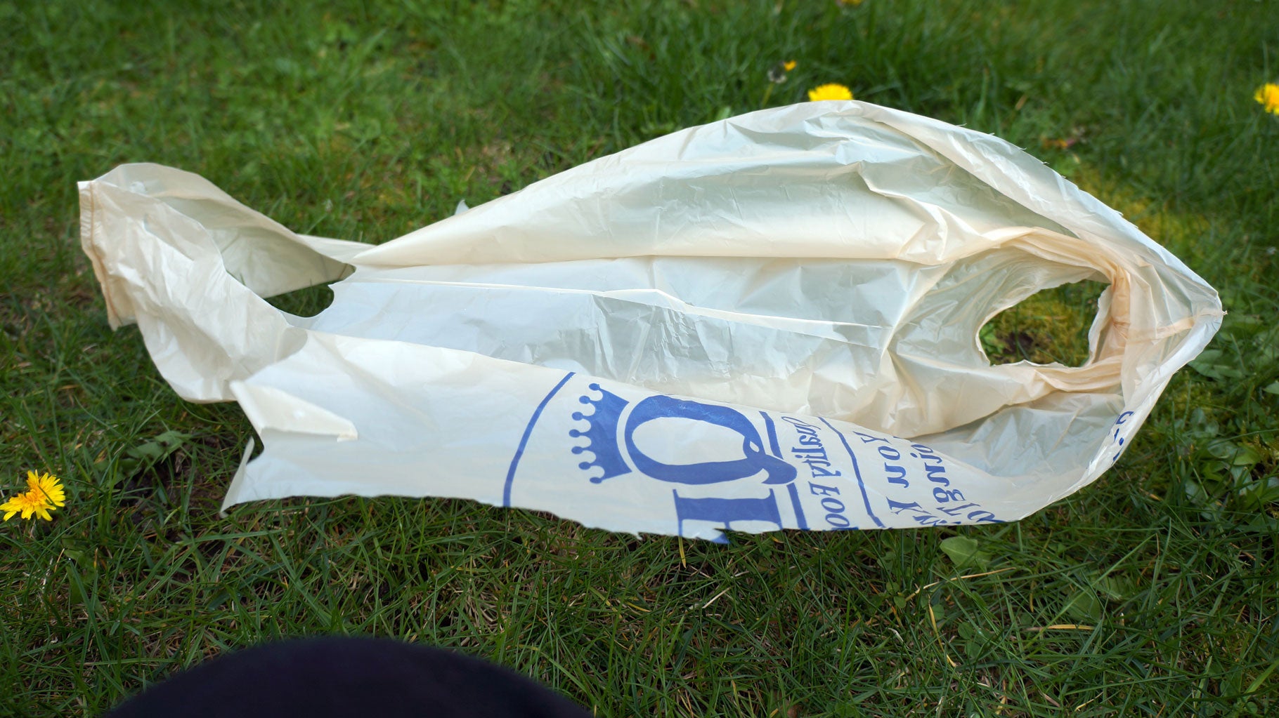 Survive With…Plastic Shopping Bags